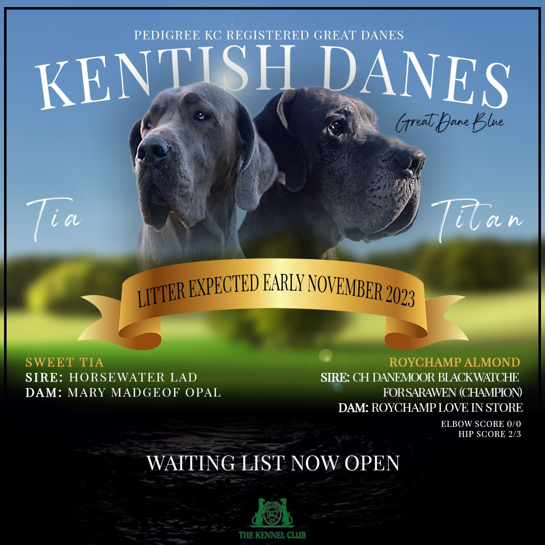 COMING SOON – KENTISH DANES